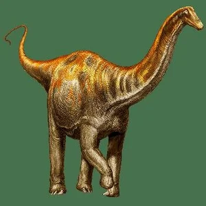Galeamopus — DinoDen