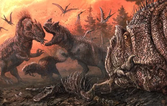 Ceratosaurus — DinoDen