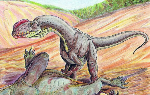 Sinosaurus — DinoDen