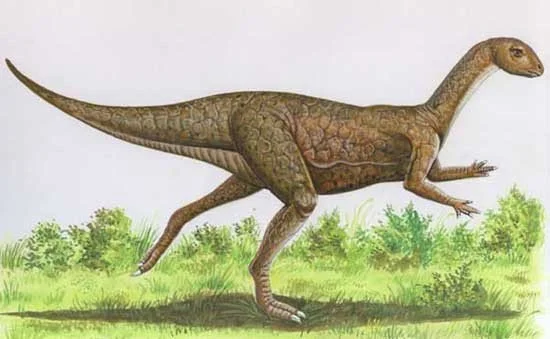 Zephyrosaurus — DinoDen