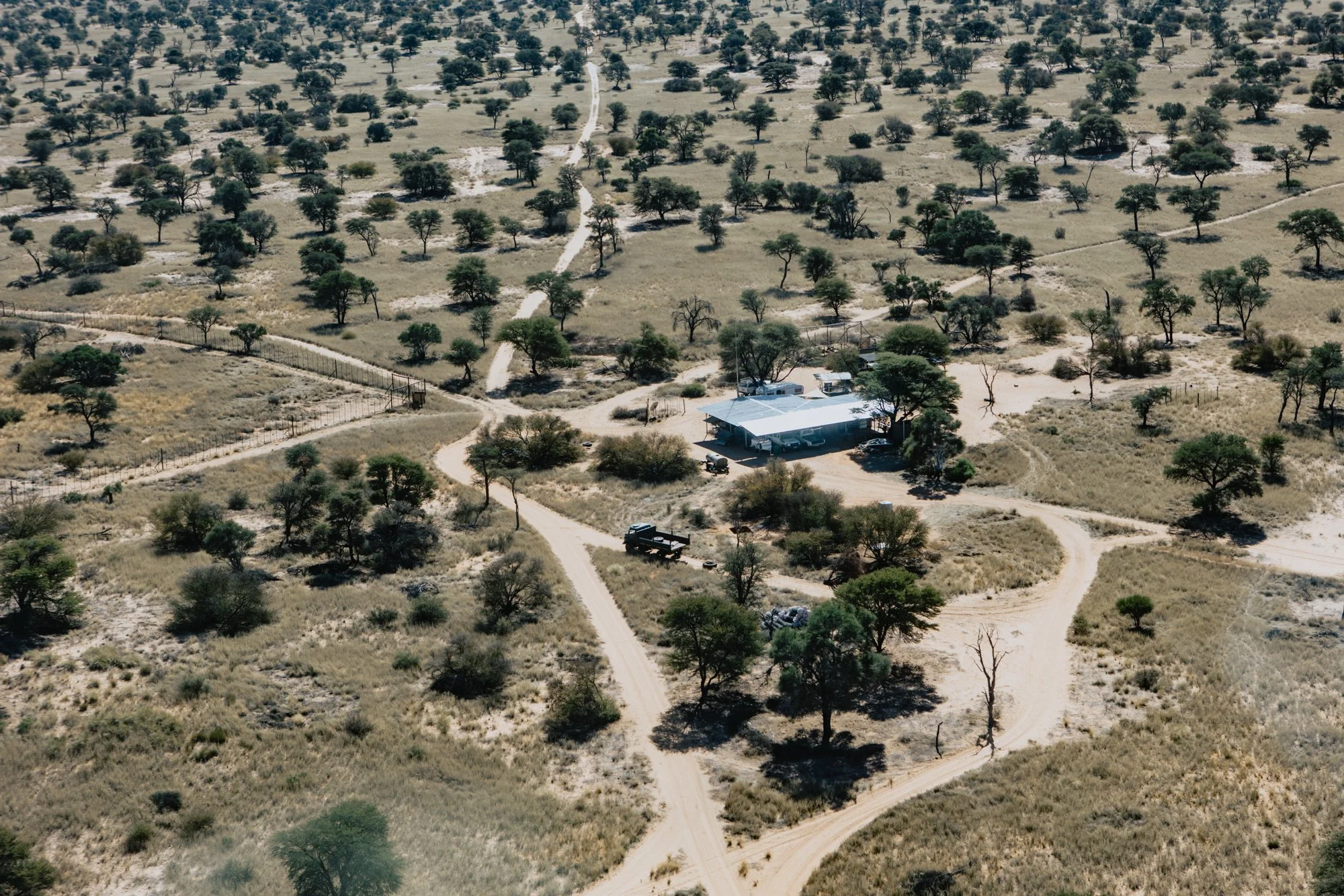 Modisa Wildlife Project
