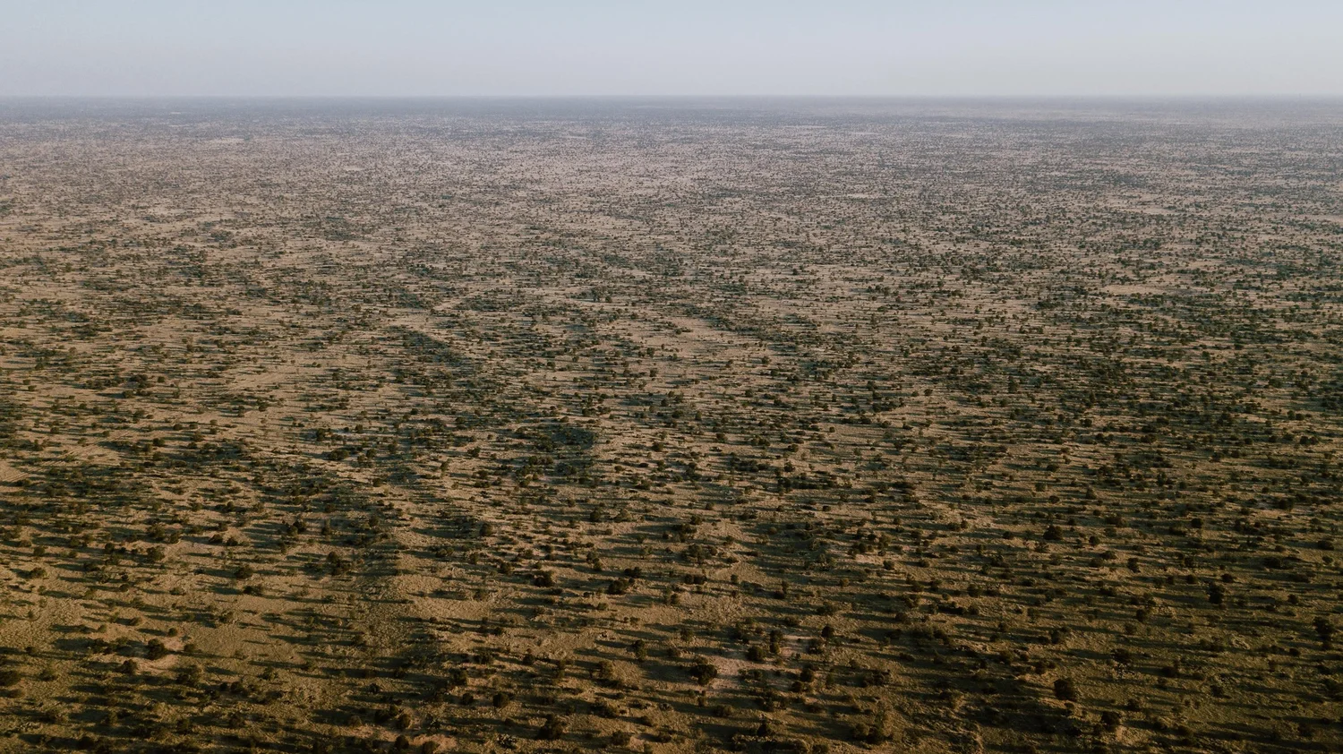 Join the interactive guest program — Modisa Wildlife Project