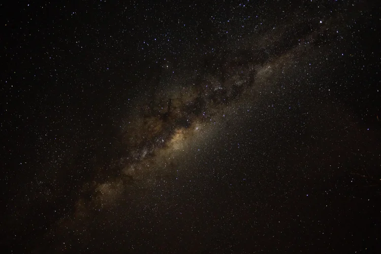 Modisa Wildlife Project