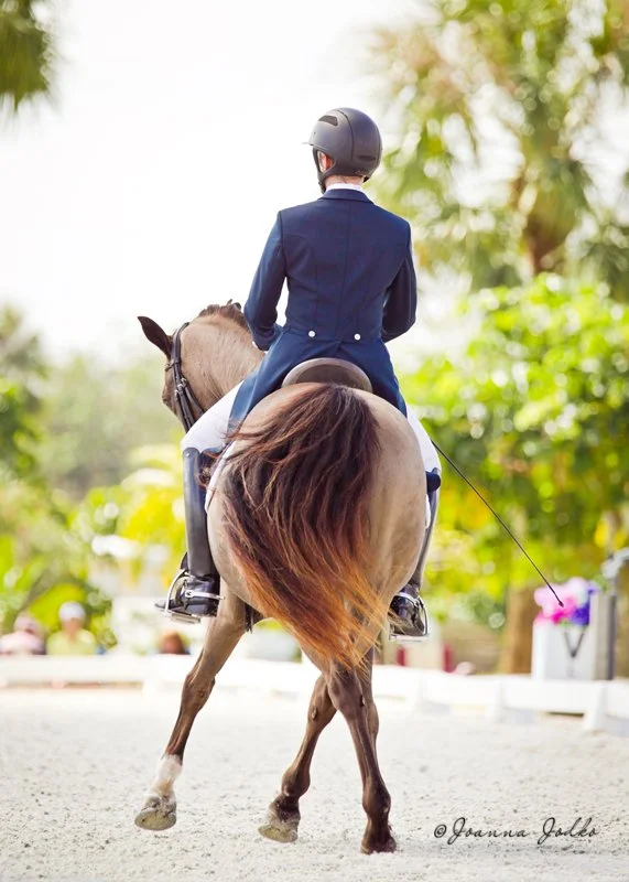 Navillus Dressage & Sport Horses