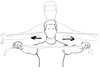 Thoracic Spine Home Exercise Program PDF — Treadwell, DPT