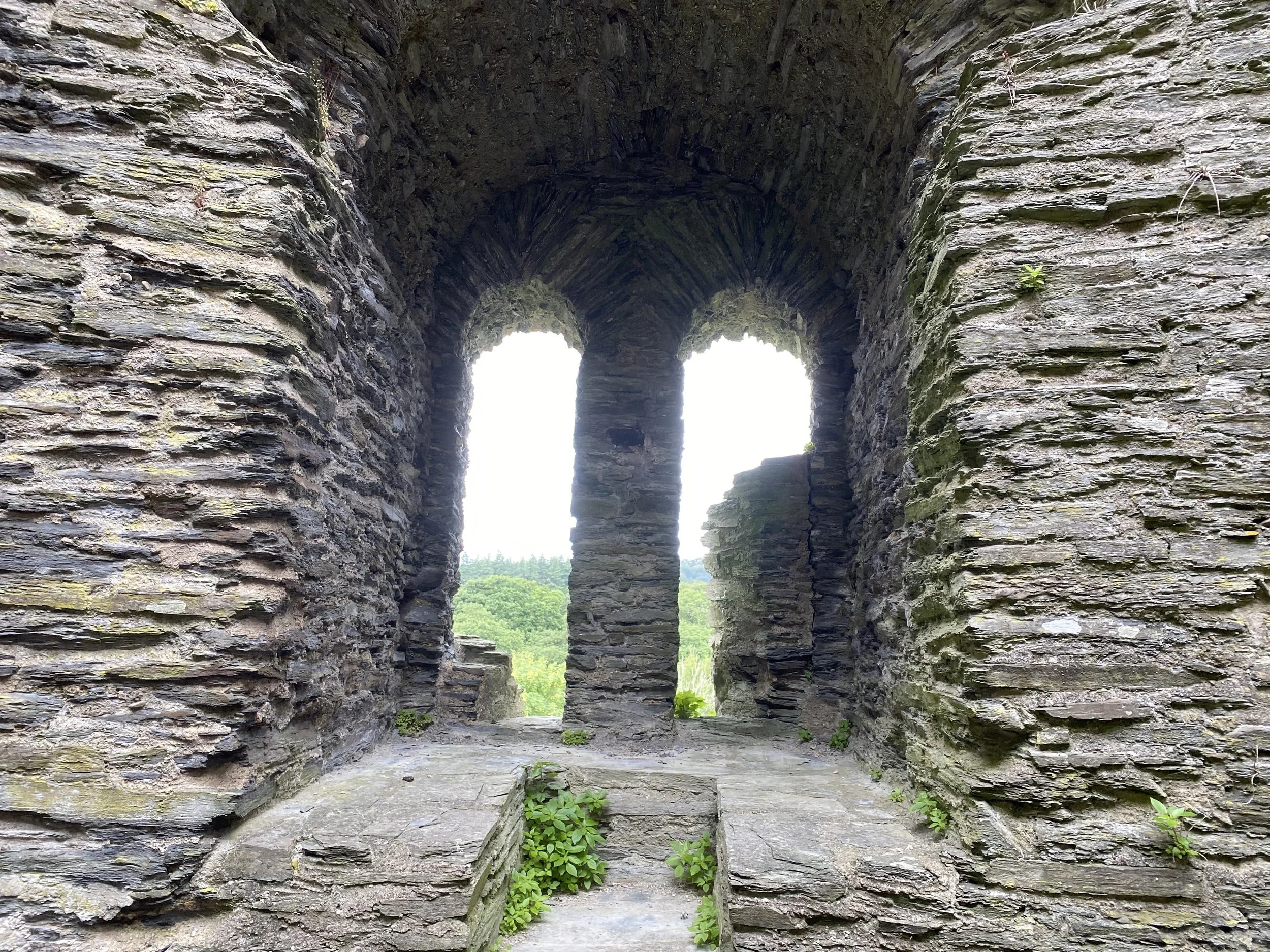 Cilgerran Castle | The Welsh Castle Database — Castle Crawl Cymru
