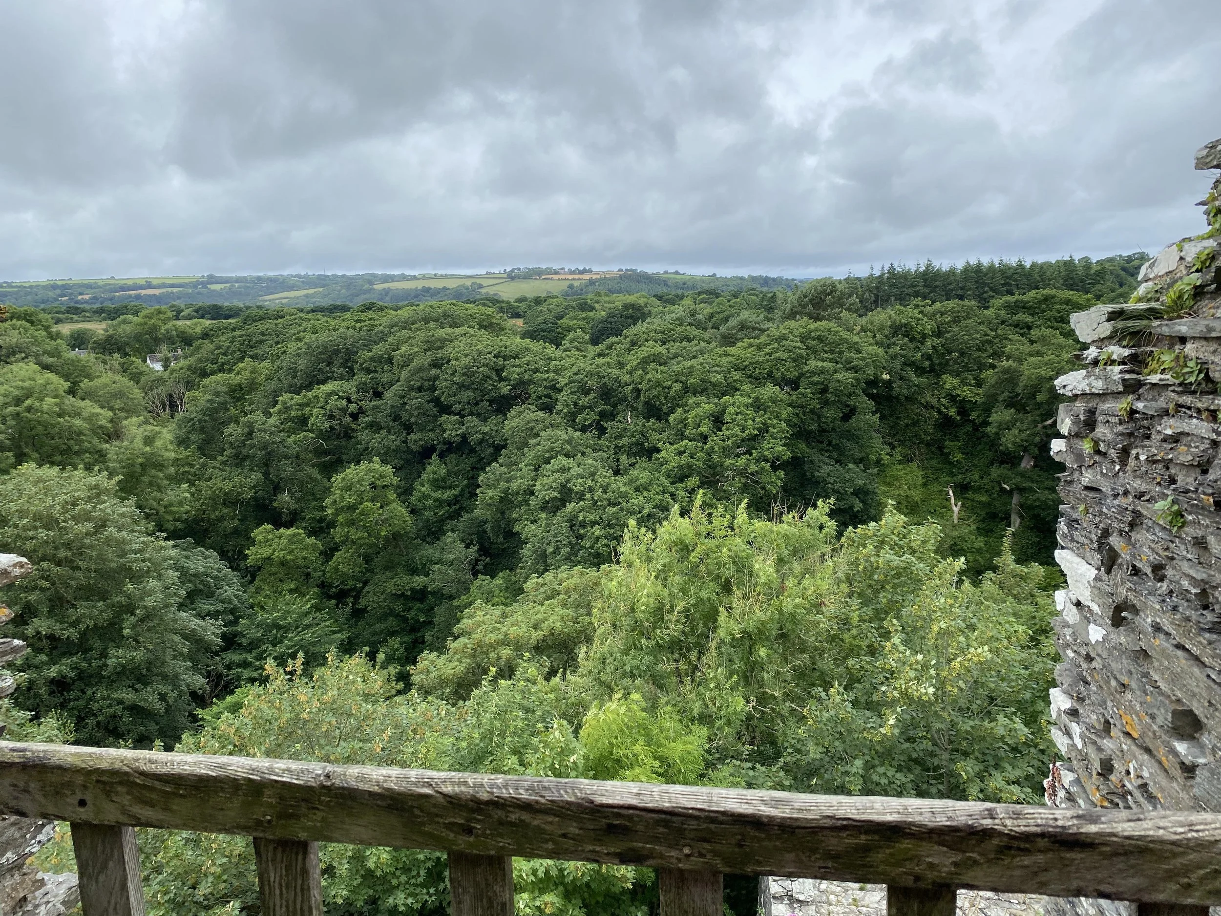 Cilgerran Castle | The Welsh Castle Database — Castle Crawl Cymru