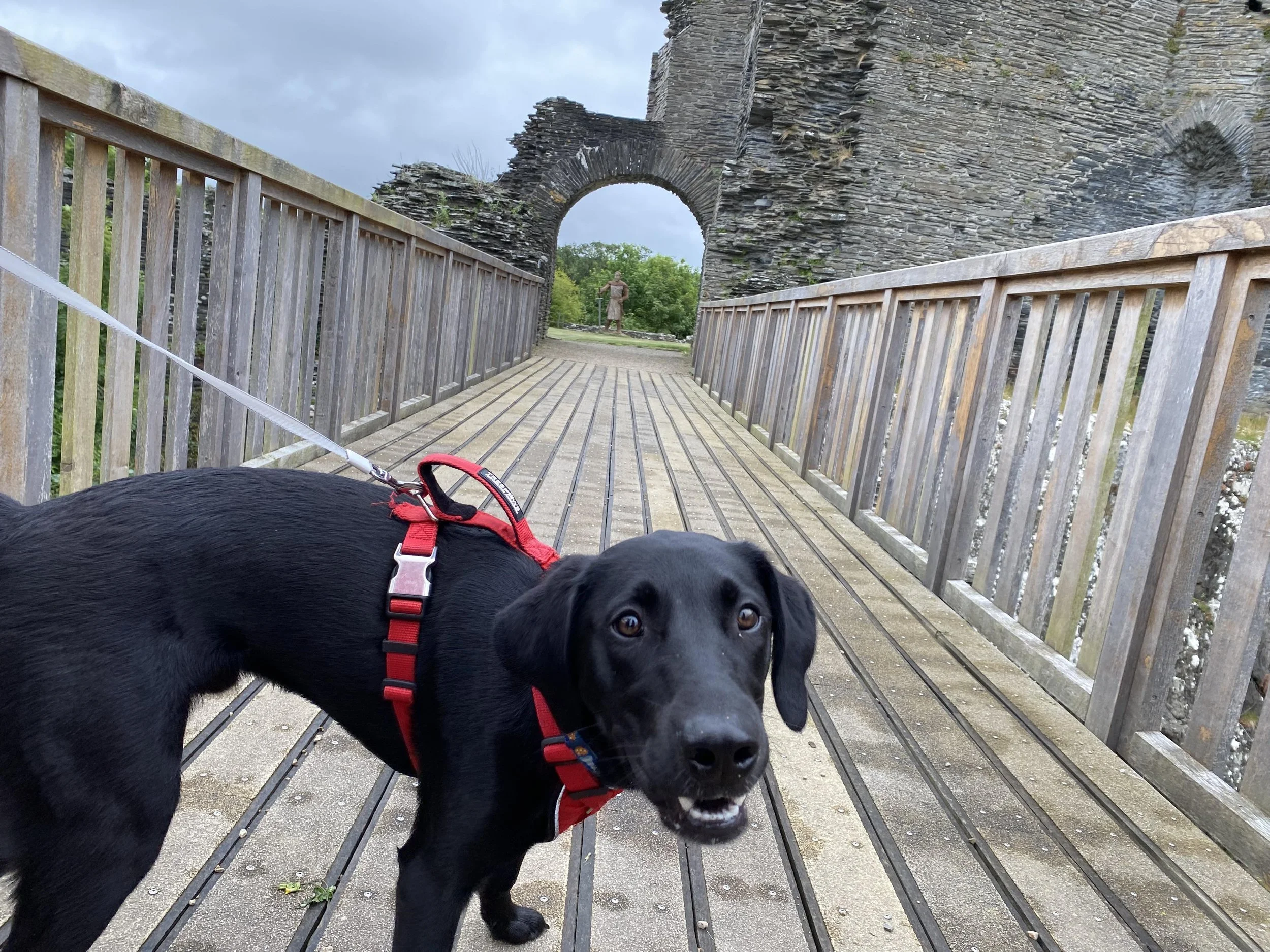 Cilgerran Castle: Visiting Guide, Tips & Tickets (2026) — Castle Crawl ...
