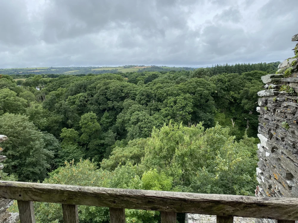 Cilgerran Castle: Visiting Guide, Tips & Tickets (2026) — Castle Crawl ...