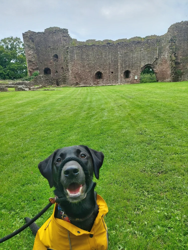 White Castle | Visit Welsh Castles — Castle Crawl Cymru