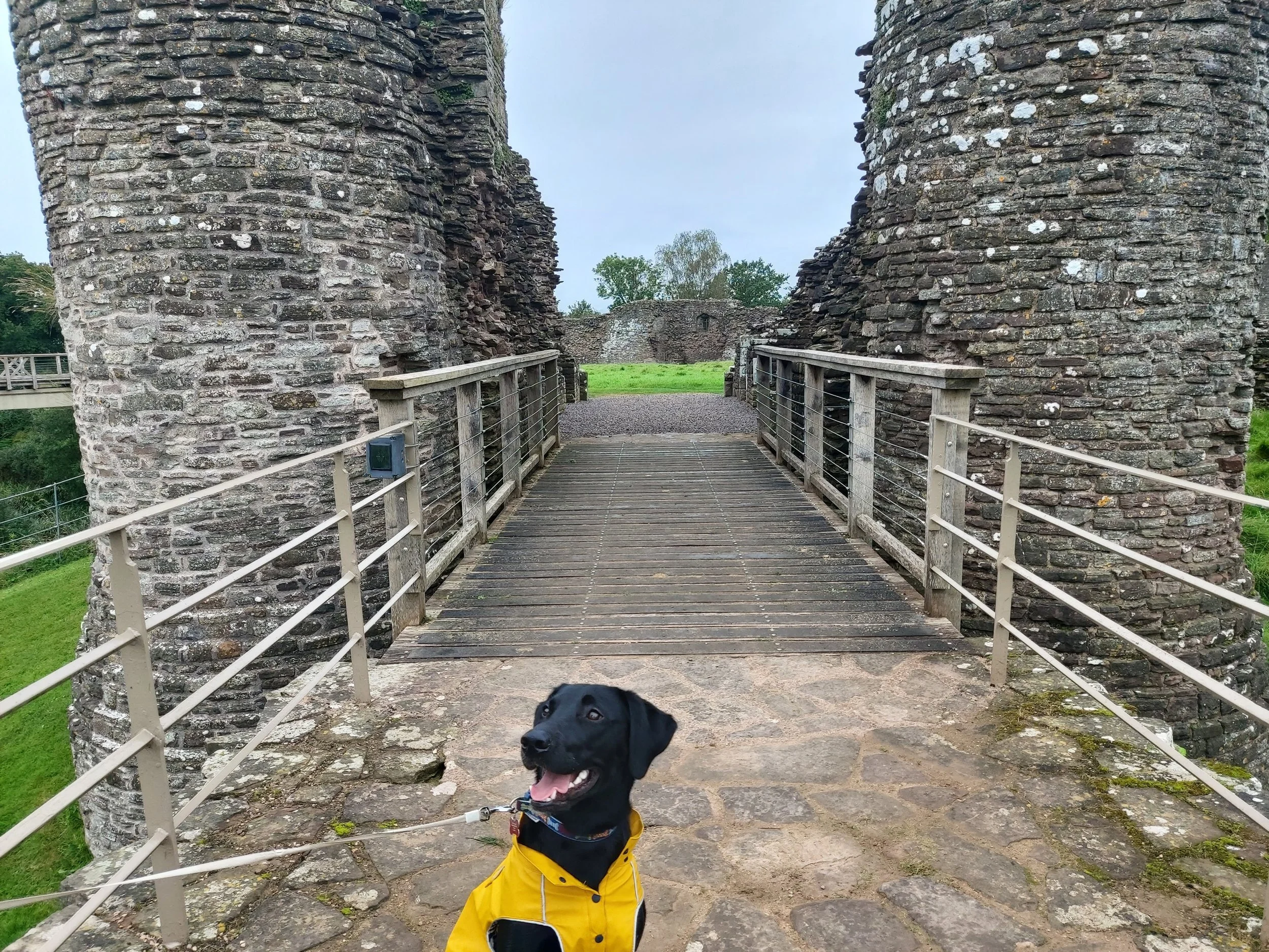 White Castle — Castle Crawl Cymru