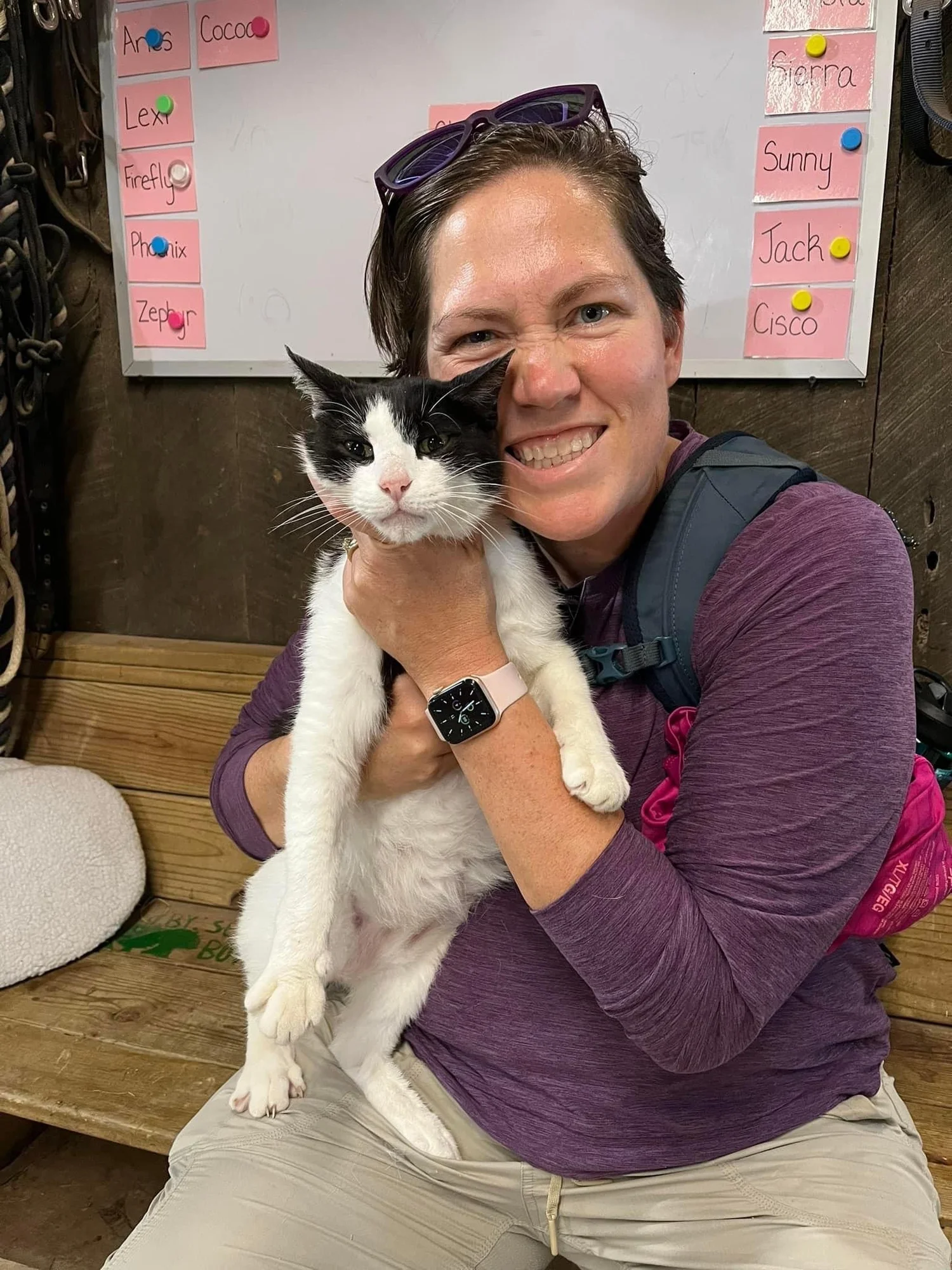 About — Beachside Mobile Vet Care