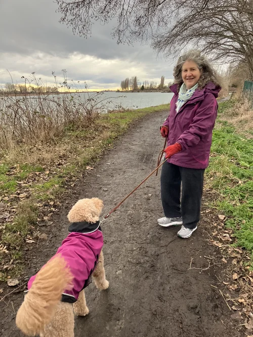 About — Dr. Lisa Sheinin, Child & Adolescent Psychiatrist, Couples ...
