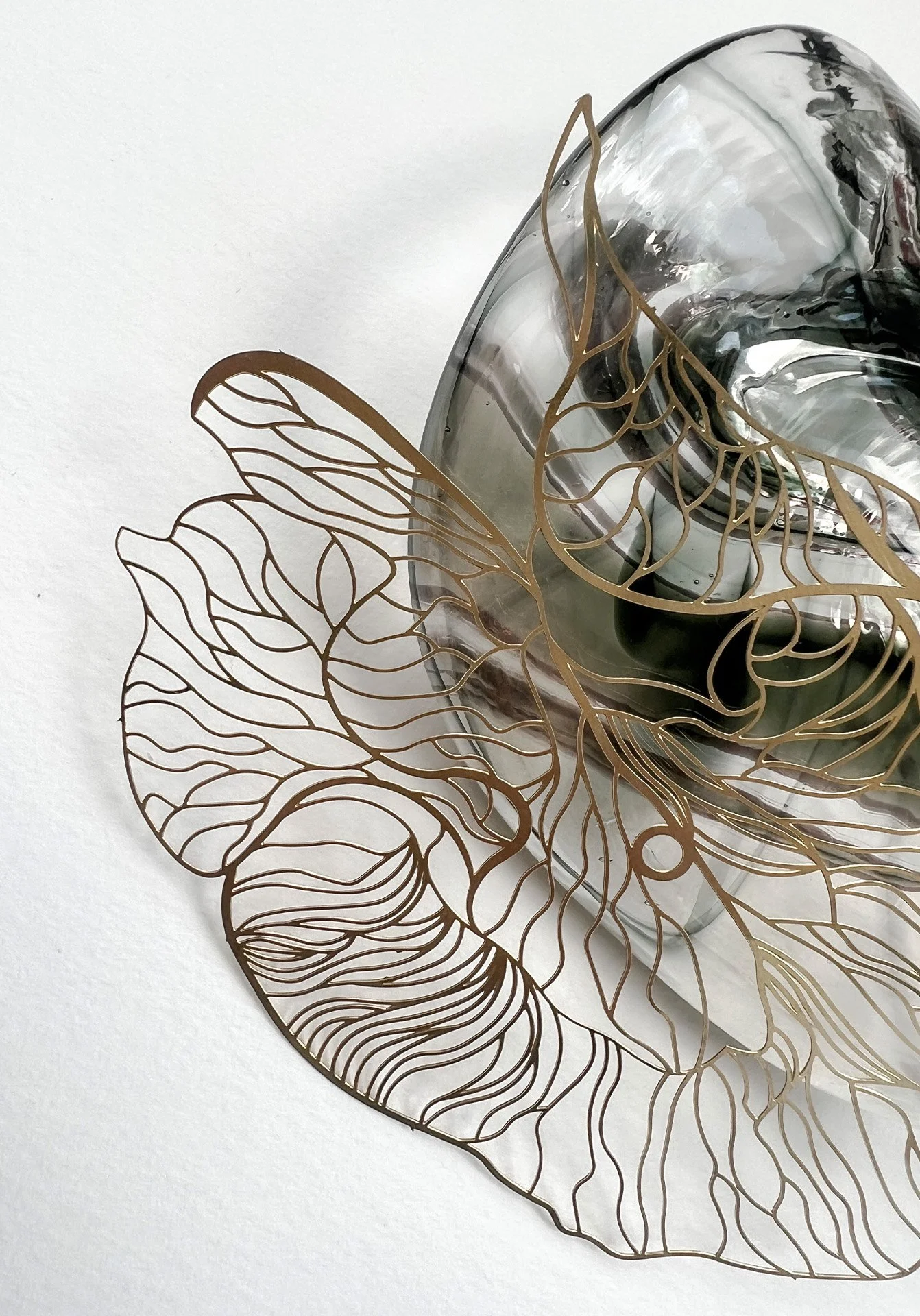 The Movement of Matter Collection — Rock & Soar
