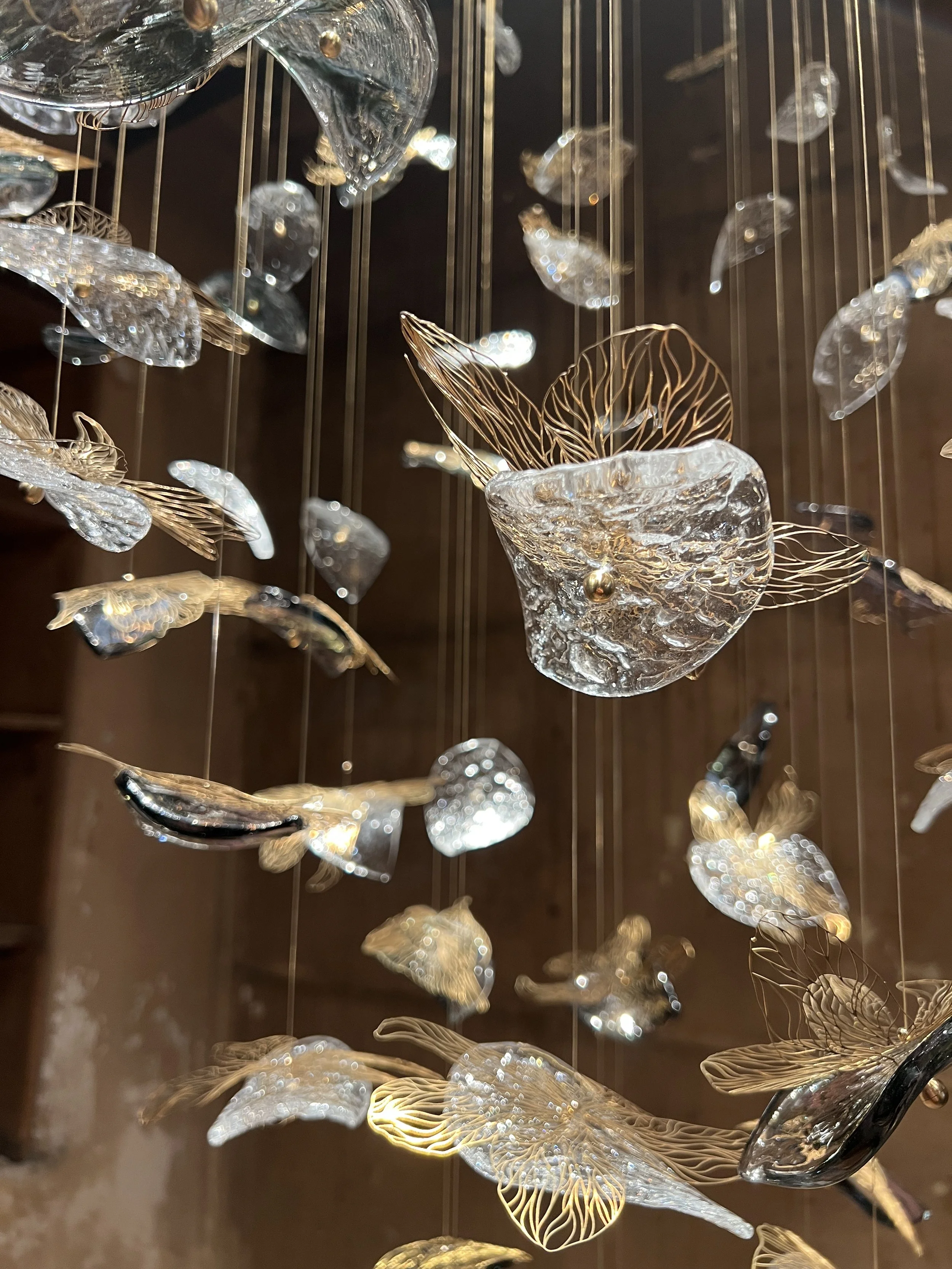 The Movement of Matter Collection — Rock & Soar