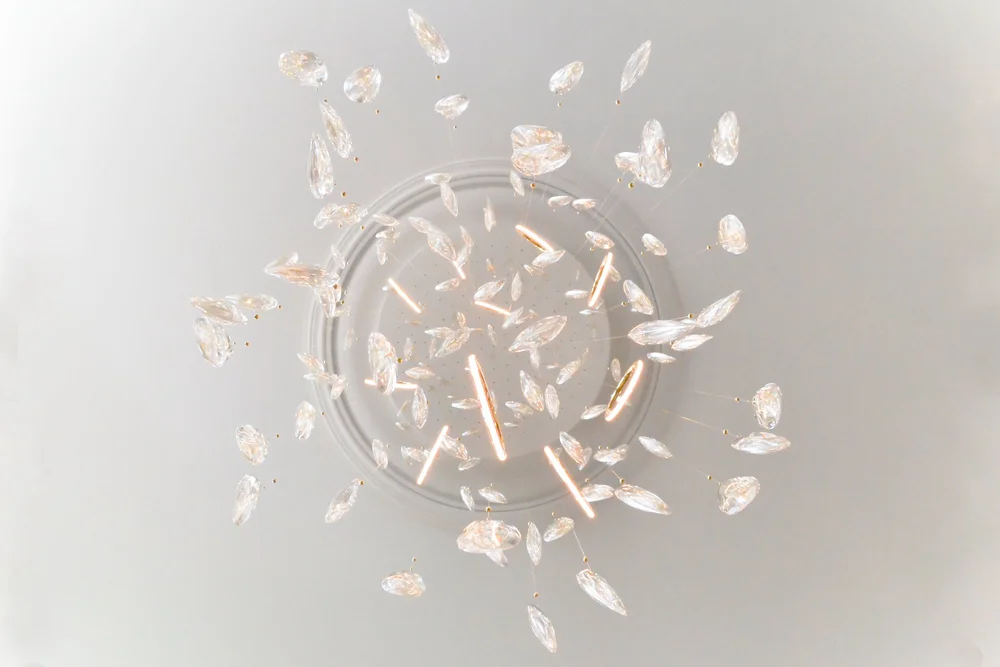 The Chitinous Collection — Rock & Soar