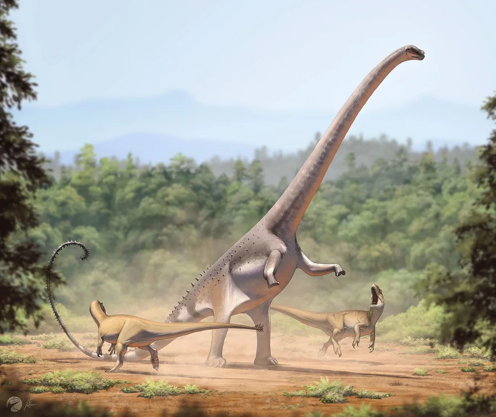 The Myth of Prehistoric Oxygen — Universe Redux