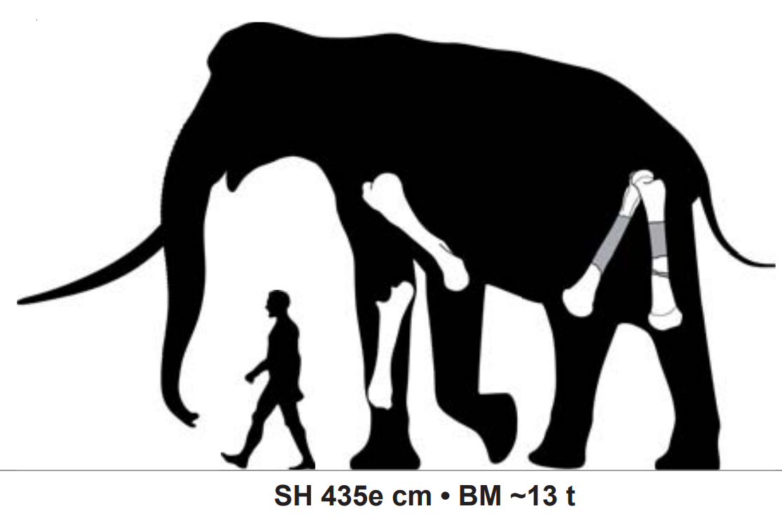 The Myth of Prehistoric Oxygen — Universe Redux