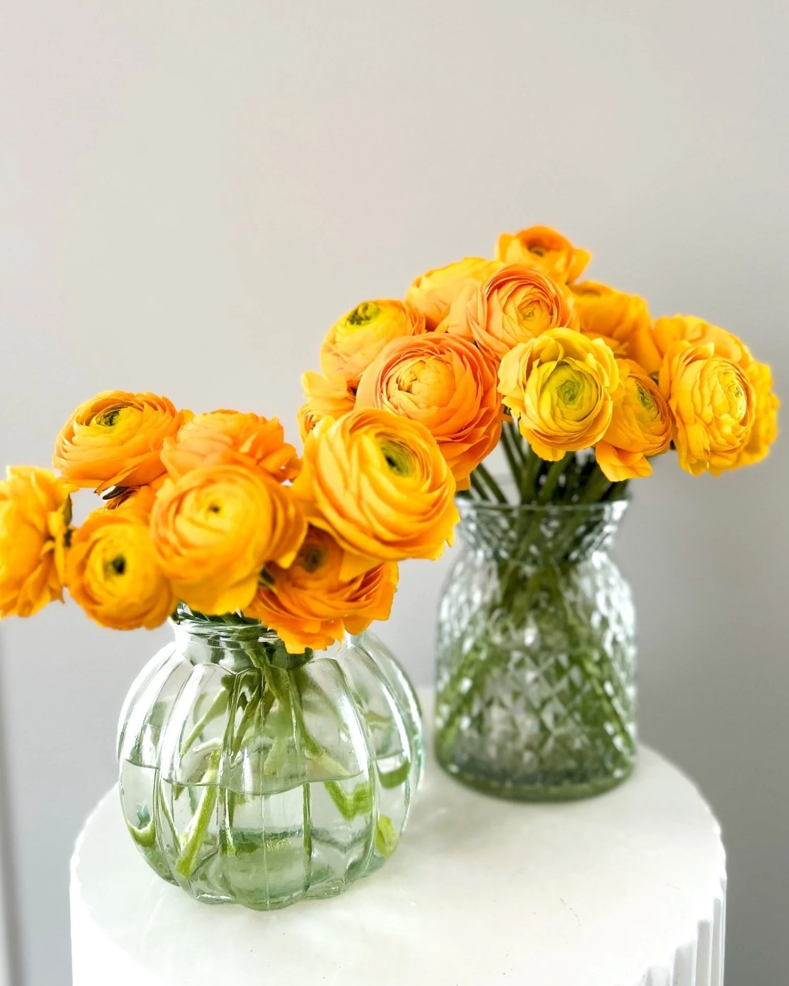 Foxglove And Ivy Florist Bacchus Marsh,Melton & Rockbank