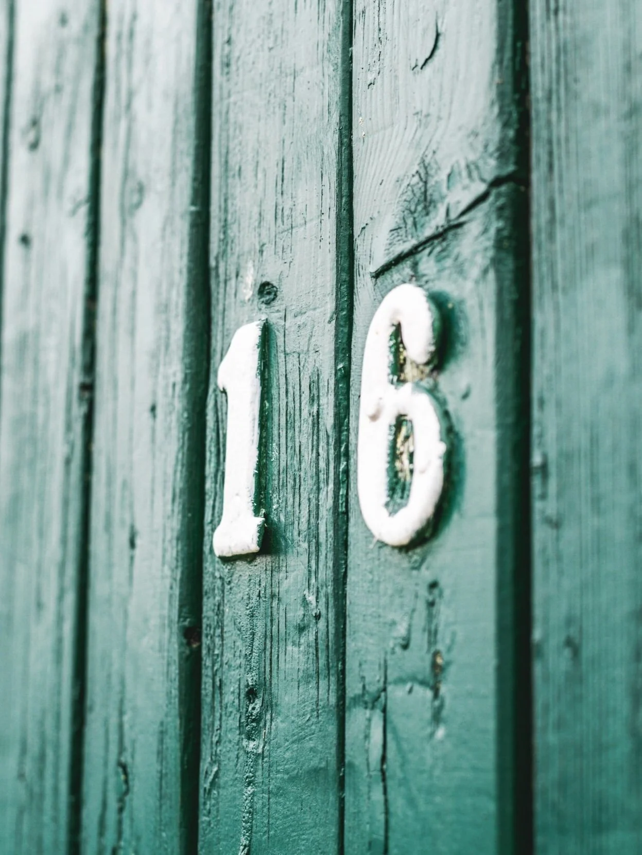 Get Started — Professor Sol, Neuro-Affirming Life Coach