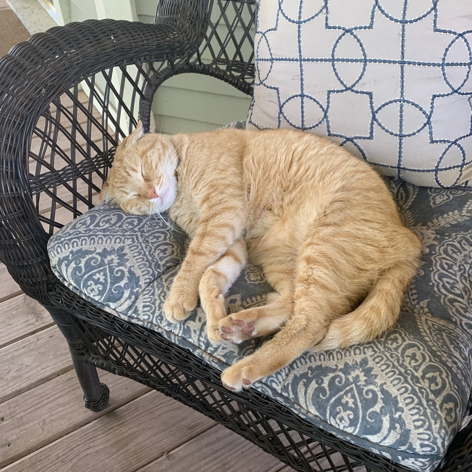 Aftyn Behn - About Aftyn Behn - TN House Candidate District 51