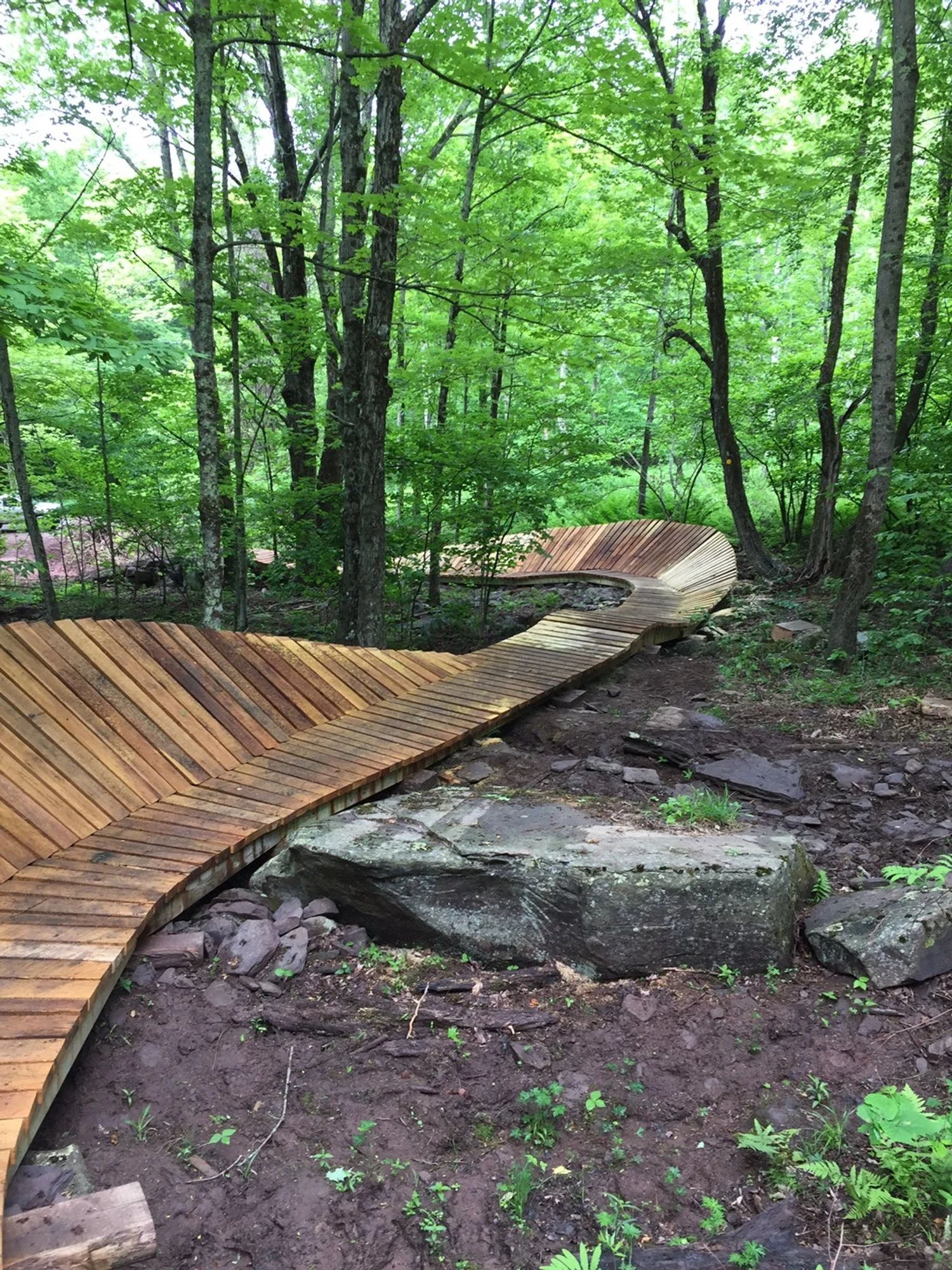 Mountain Surf Creative