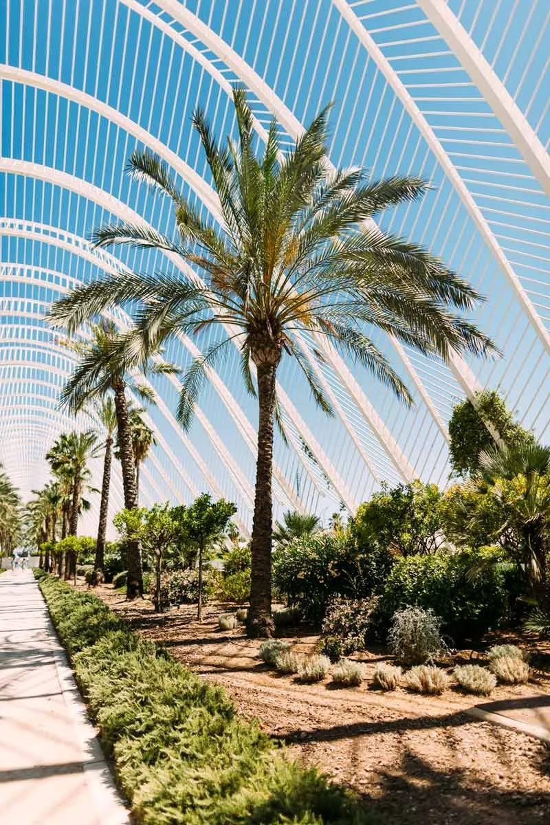 Valencia Event Site
