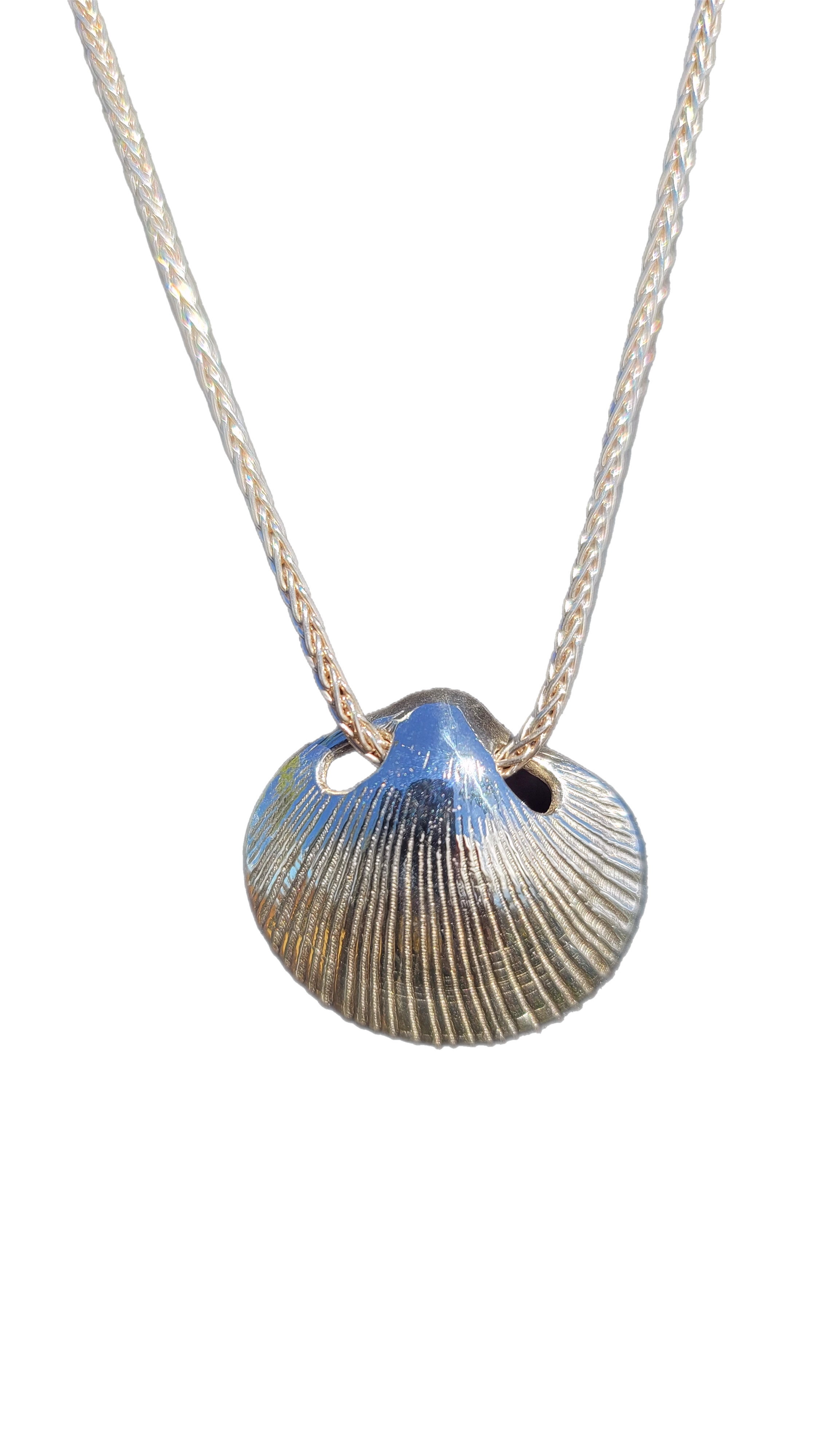 Clamshell Pendant, Petite — Goldsmiths Kauai