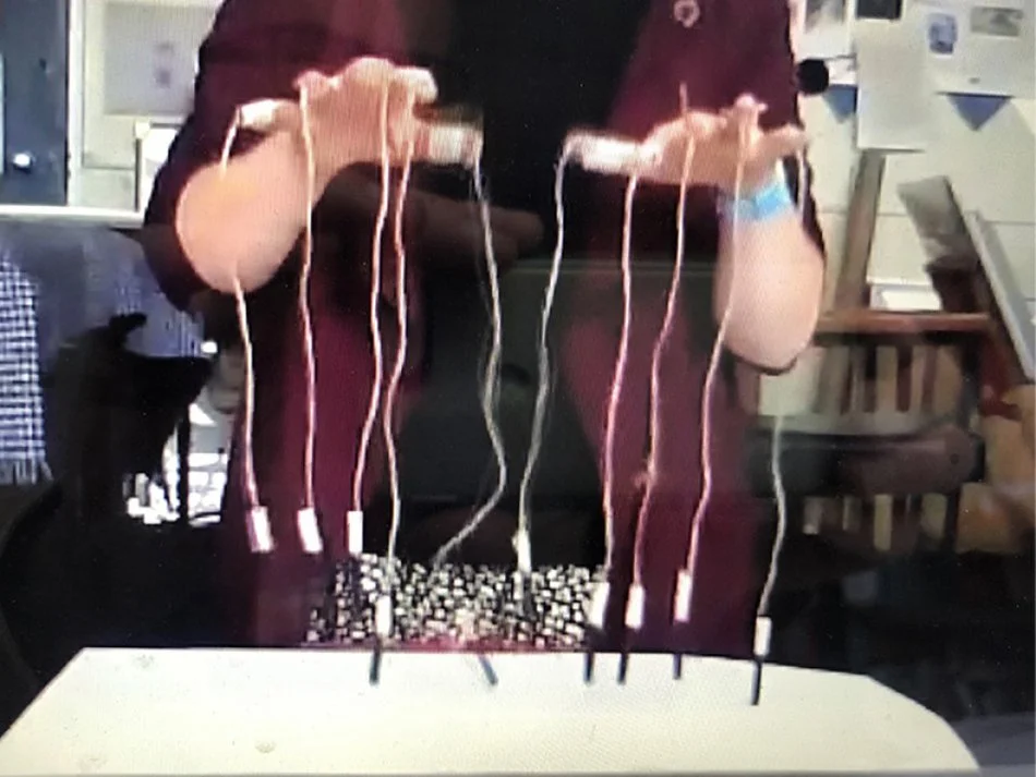 Sally O’Dowd — Digital Arts Studios