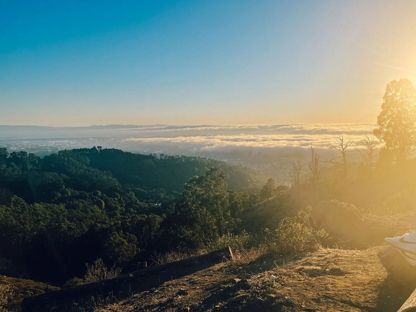 The 4 Best Places to You Need to Visit in Berkeley, CA | K&N Travel ...