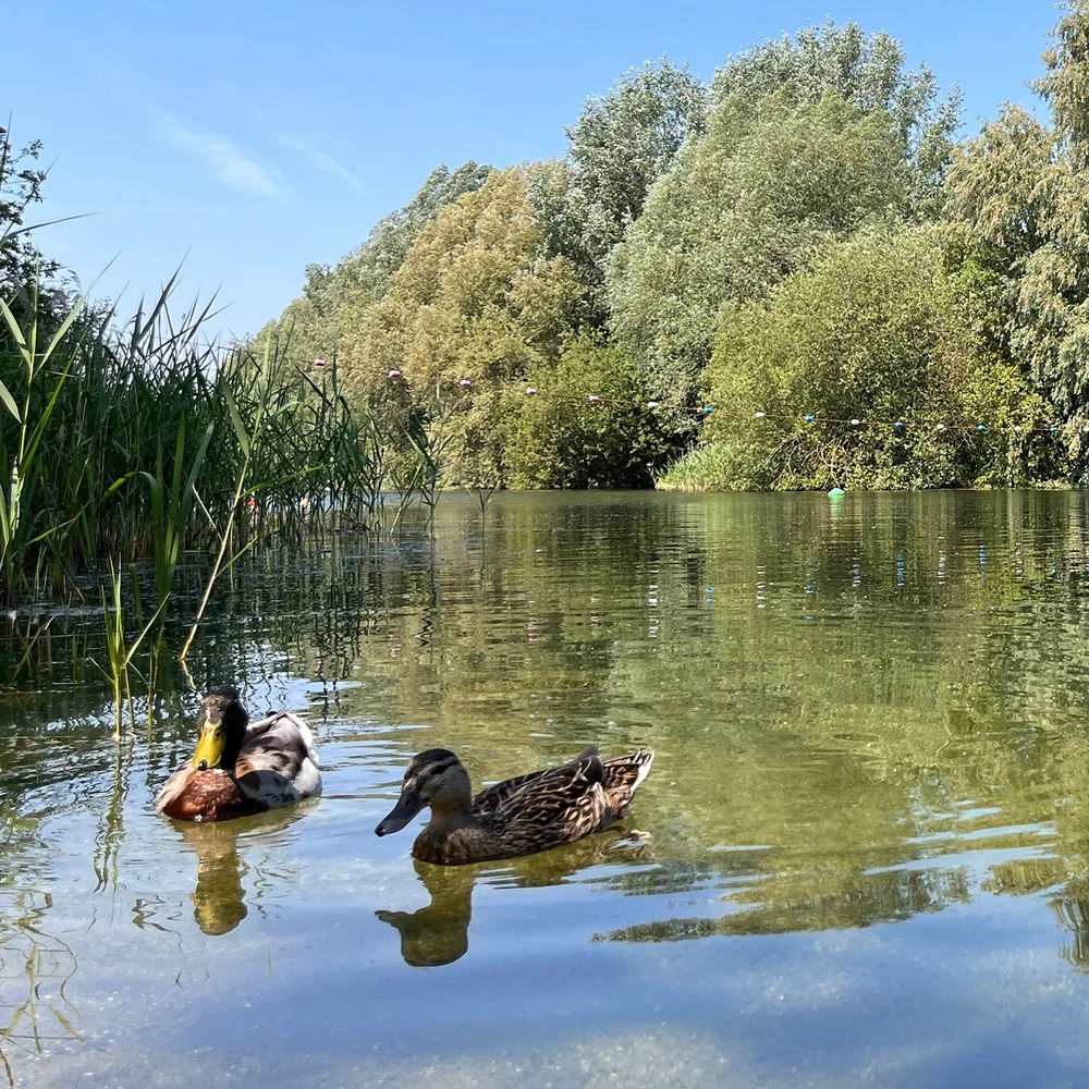 Redricks Lakes | Outdoor Activities, Glamping & Aqua Park in Hertfordshire