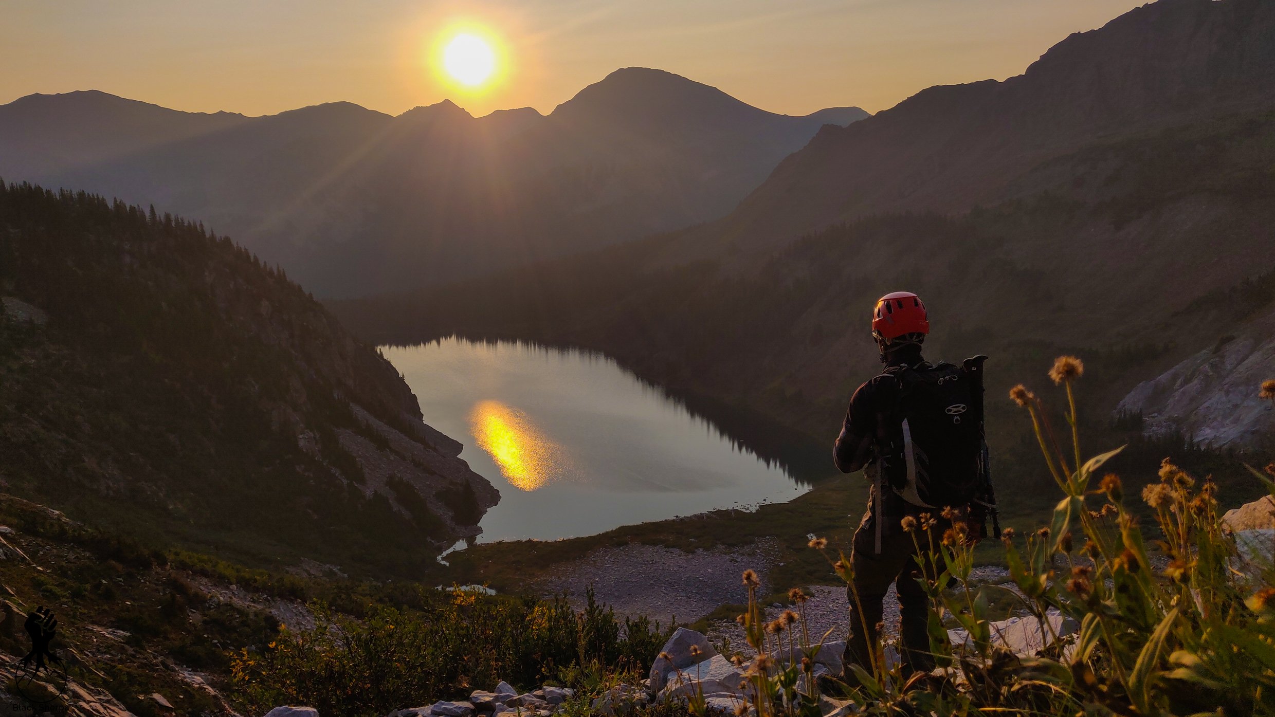 Services — Third Win Group