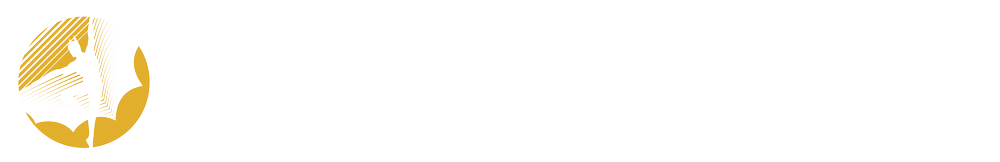BALLETBAT • CARL NEWMAN