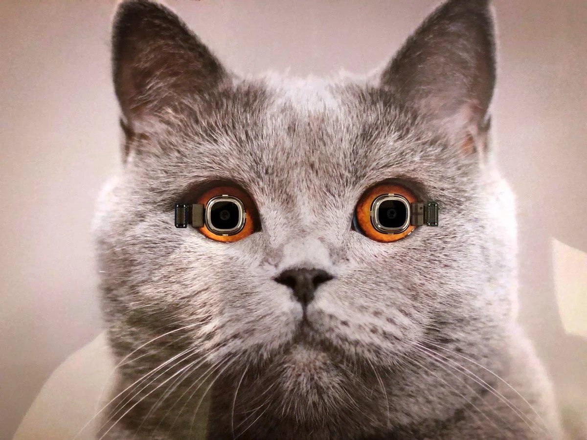 PROJECTS — Federico Morando