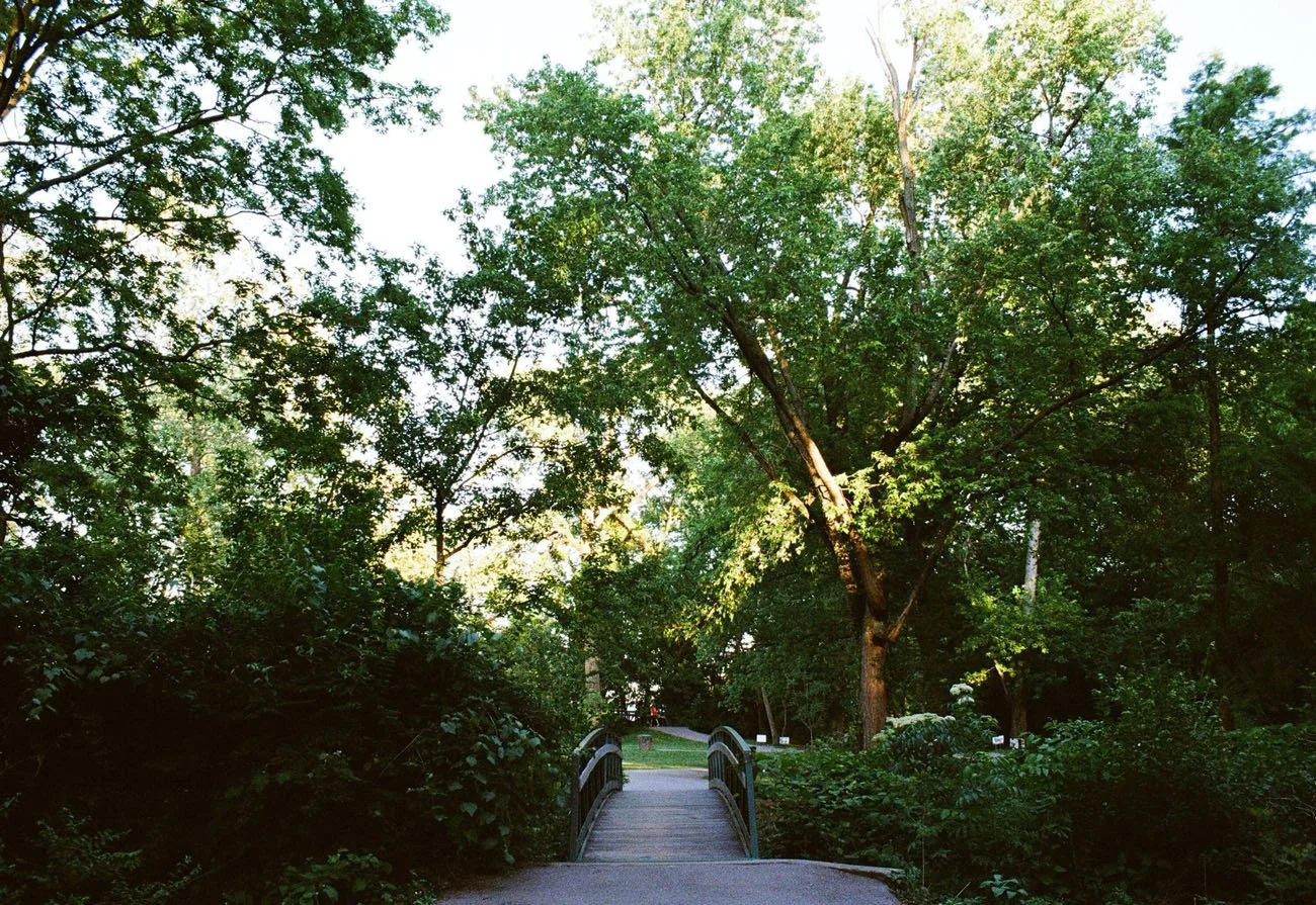 Books — Proximity Project