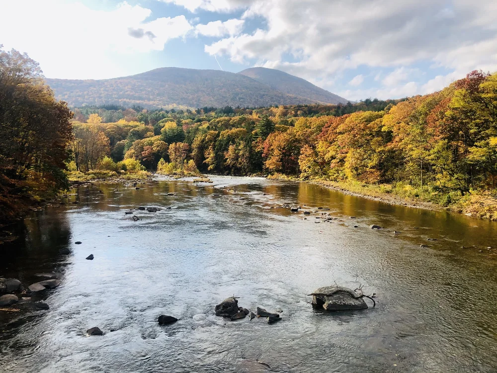 Catskills Fly Fishing Guide Service