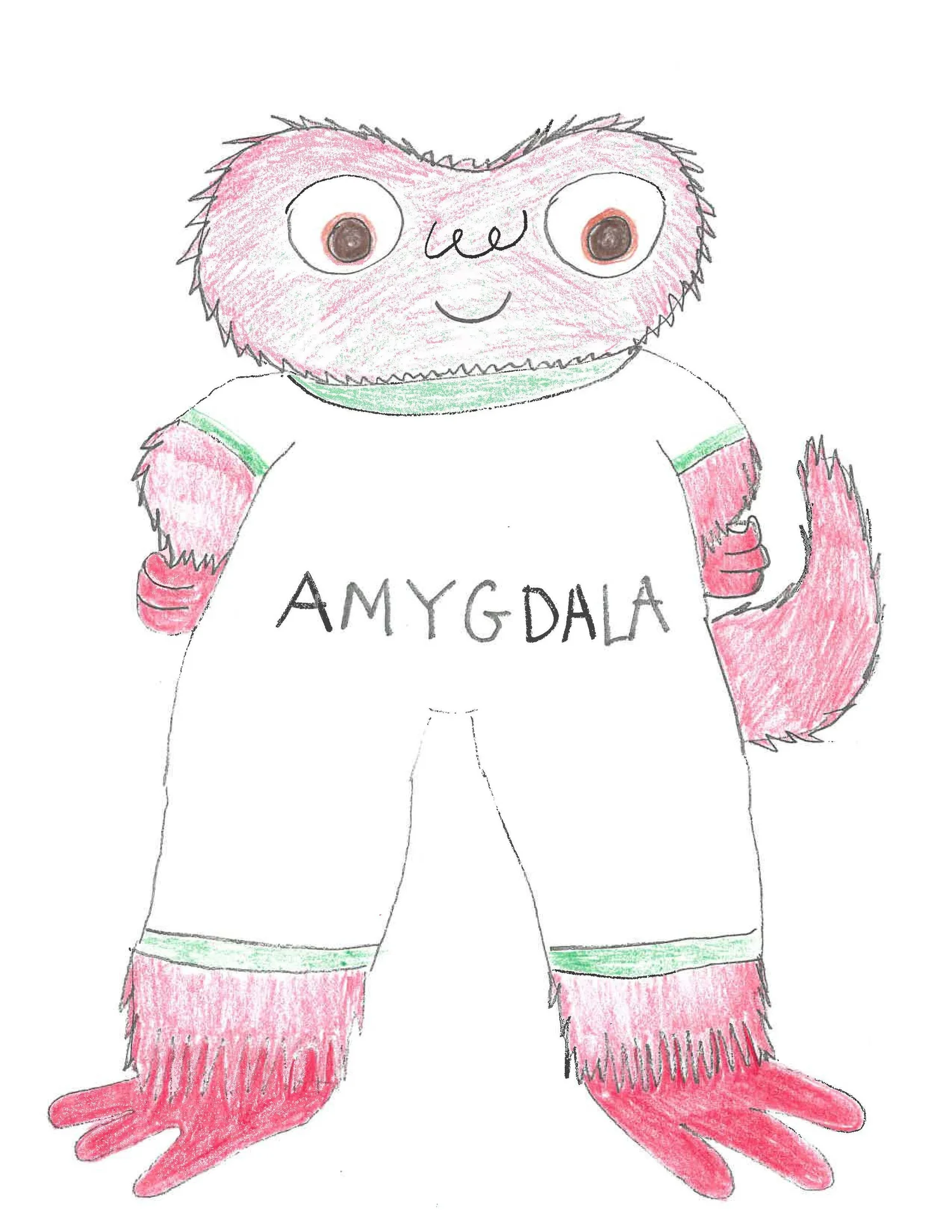 Helping Students Train Their Amygdala: Upstairs and Downstairs Brain ...