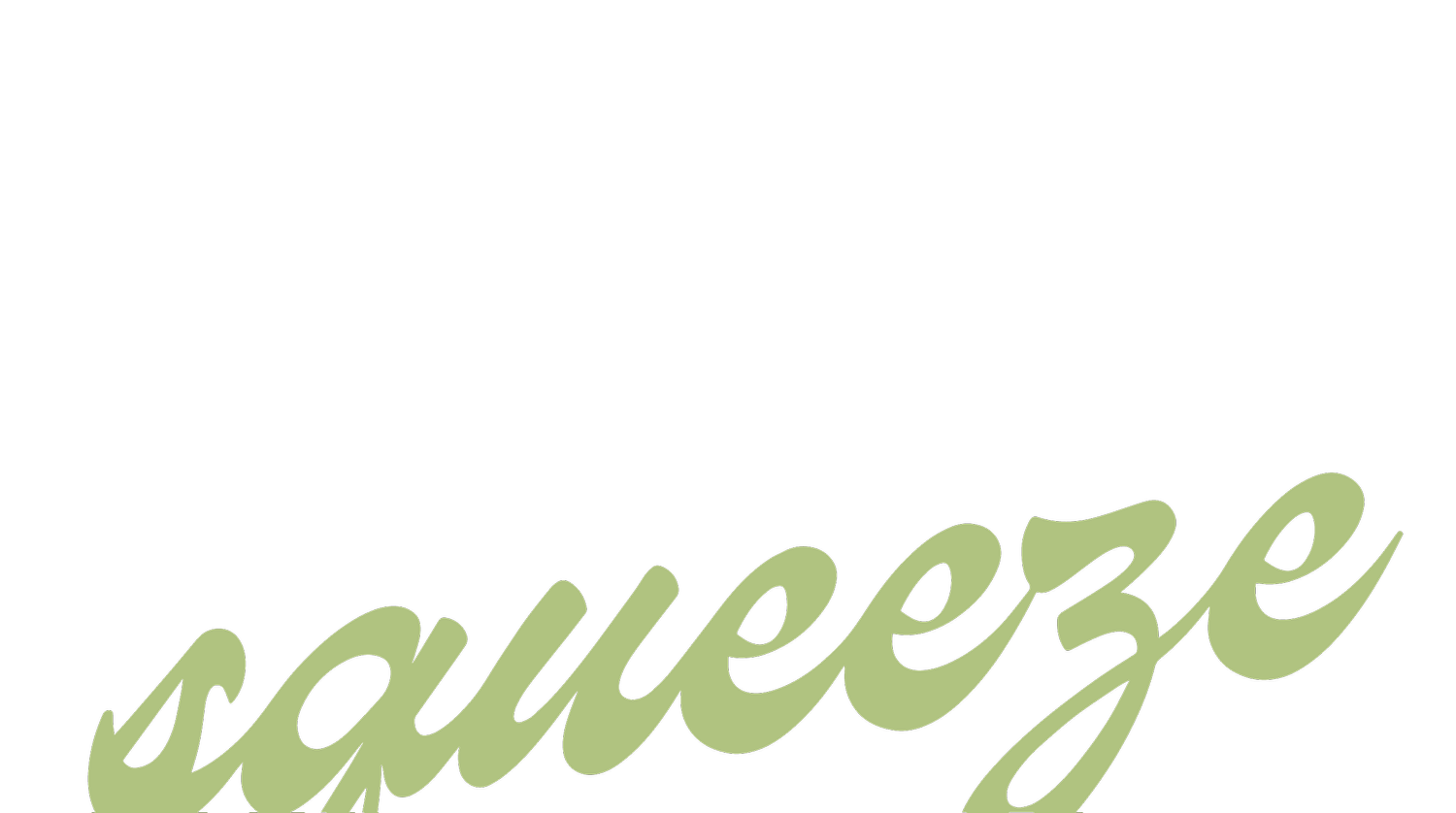 Services — the squeeze marketing & retail consulting