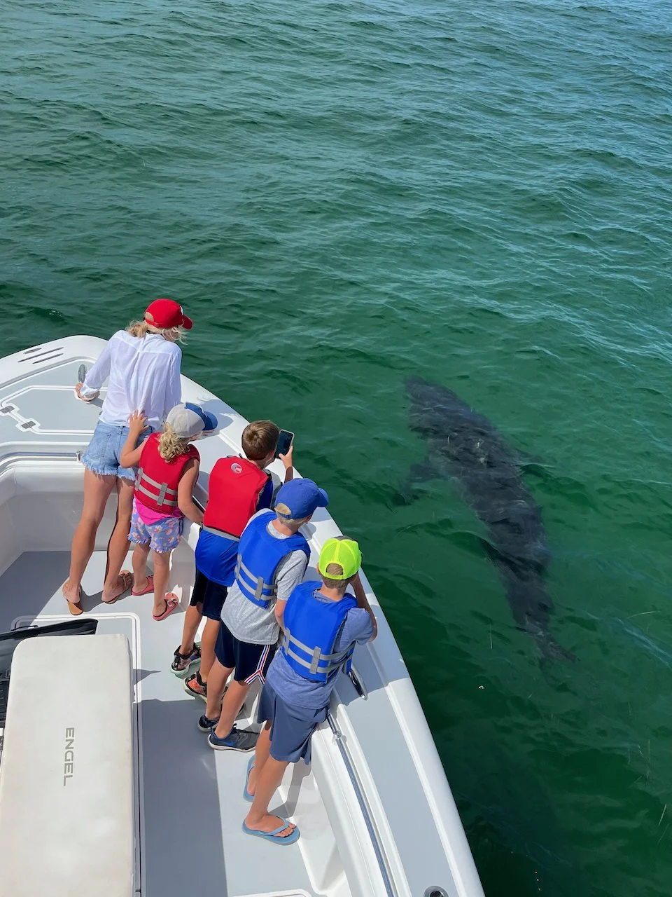 Chatham Shark Tours