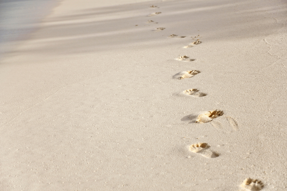 Walking with Christ: The Path of Faith, Discipleship, and Personal ...