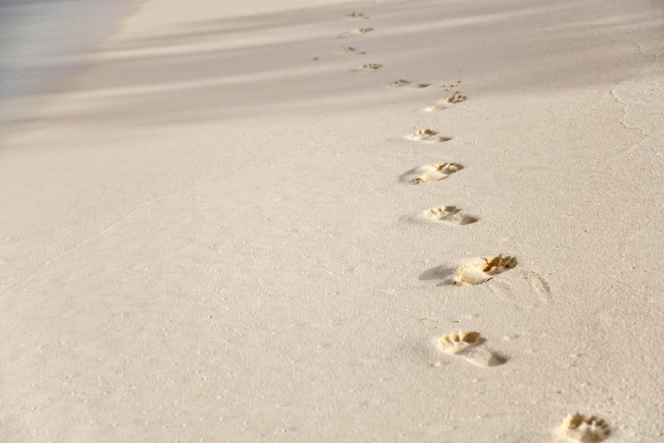 Walking with Christ: The Path of Faith, Discipleship, and Personal ...