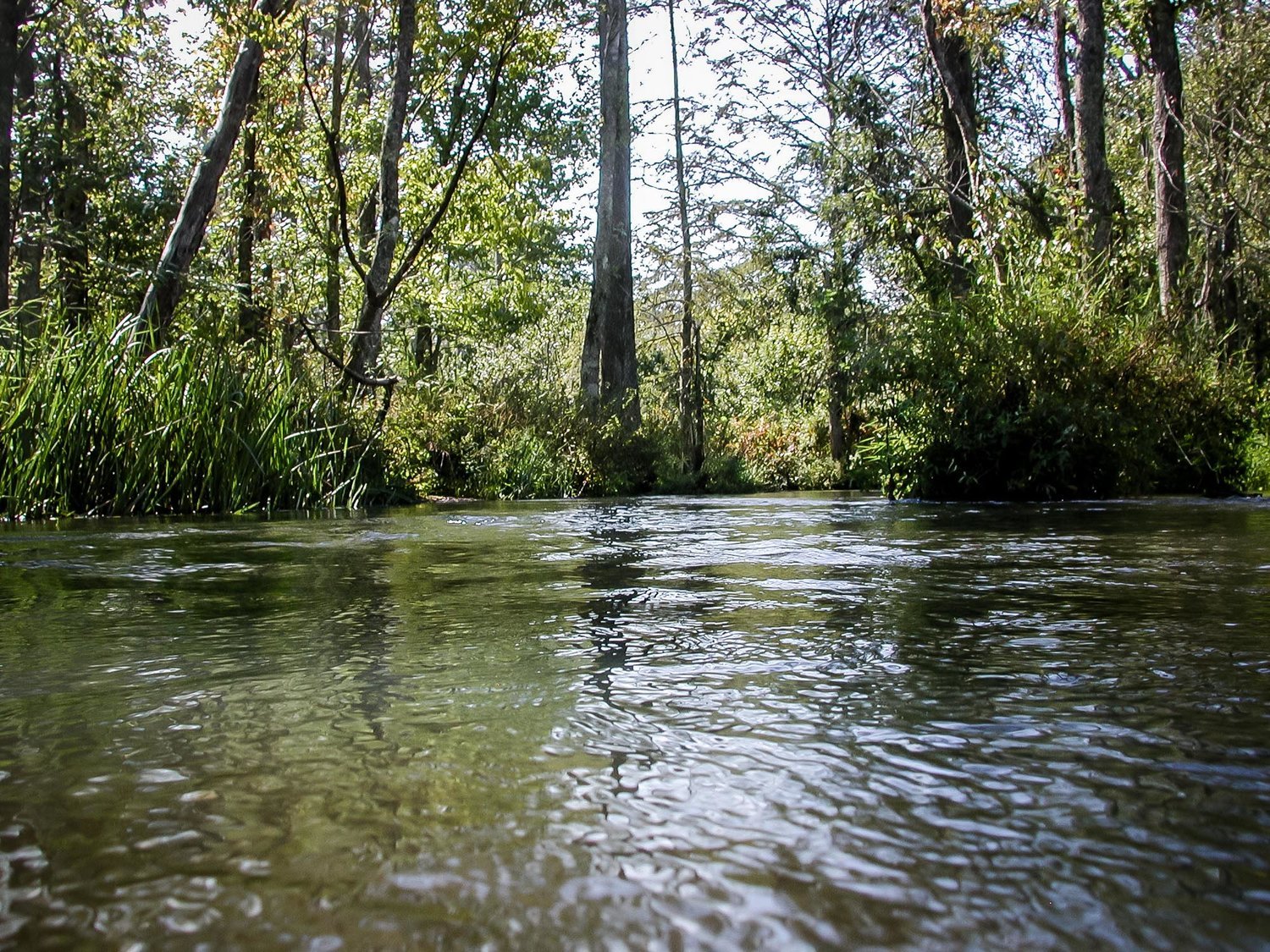 City of Memphis Stormwater Mapping and Modeling Projects — Allworld