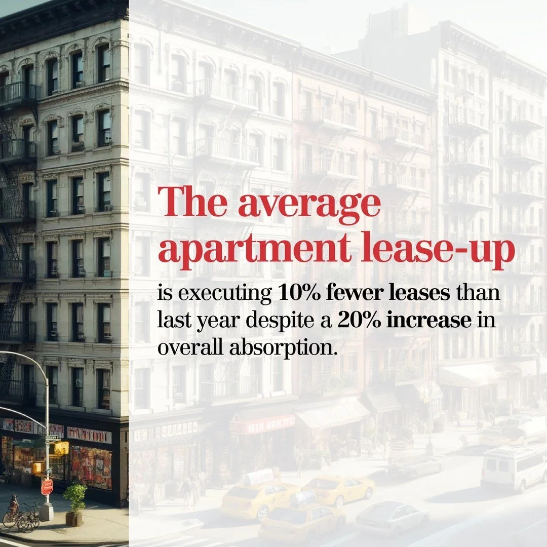 PLAID HAT MANAGEMENT