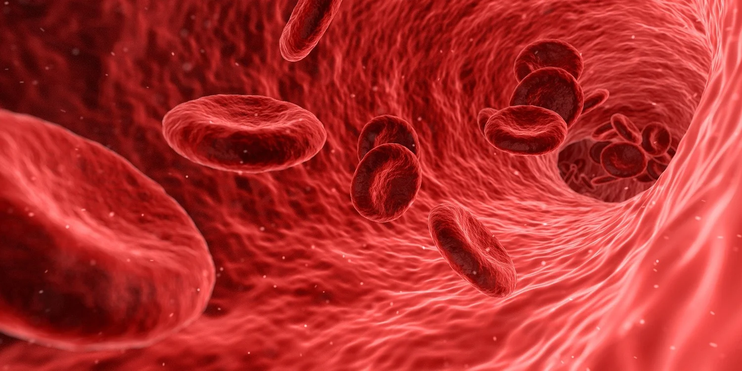 Solid Cancers | Understand to Battle — Learn to Beat Cancer