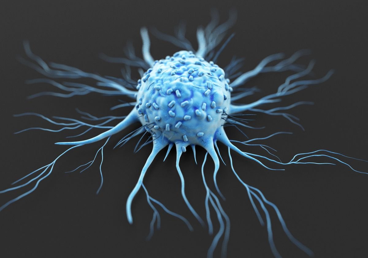 How Cancer Cells Evade the Immune System | Understand Defense ...