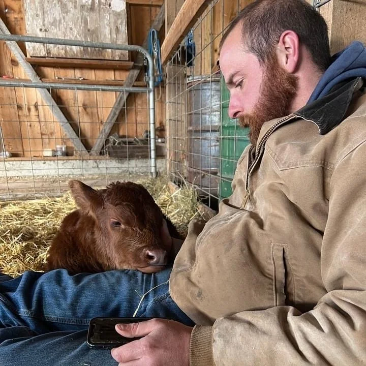 Pleasant View Farms | Red Angus Beef | Genetics & Cattle | Somers, CT