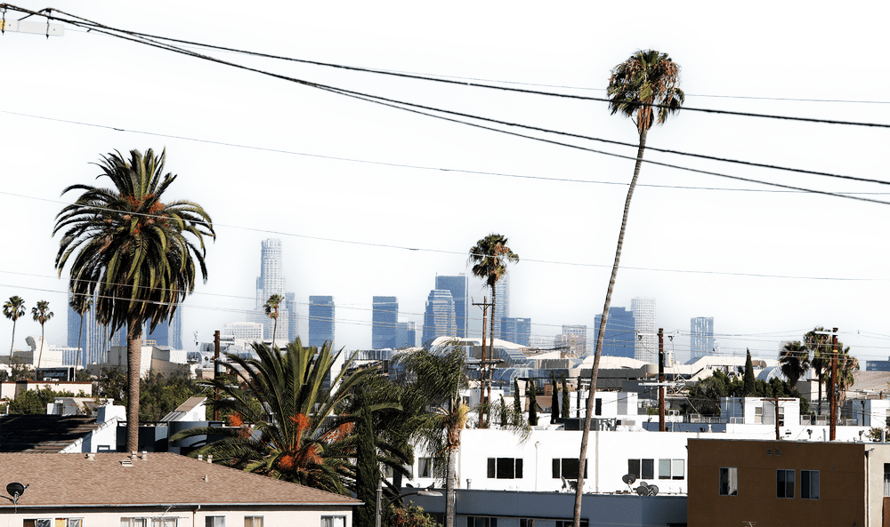 The School of Los Angeles | An Independent, Co-Ed Middle and Upper School