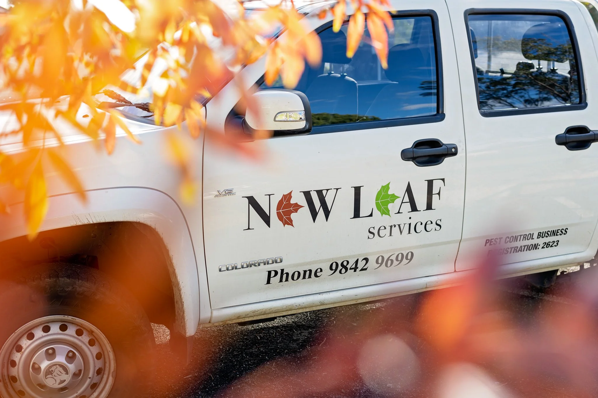 Pivot Support Services