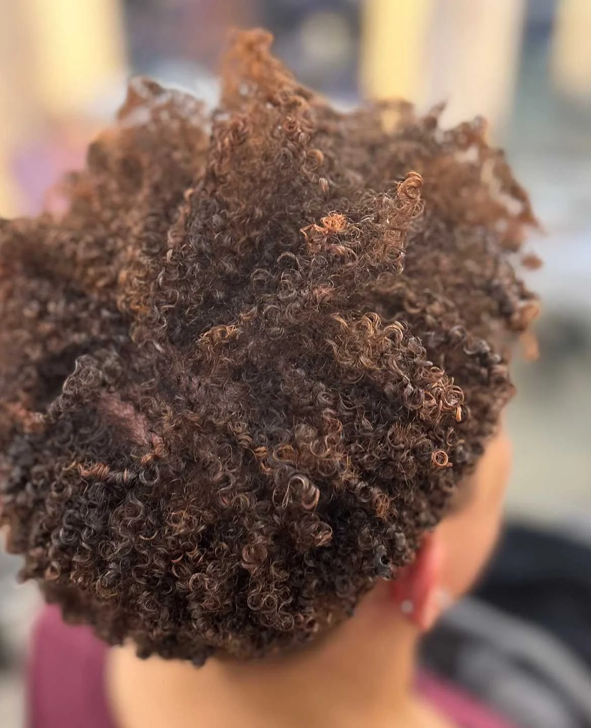 Exploring the Fibonacci Sequence in Curly Hair Morphology and Growth ...
