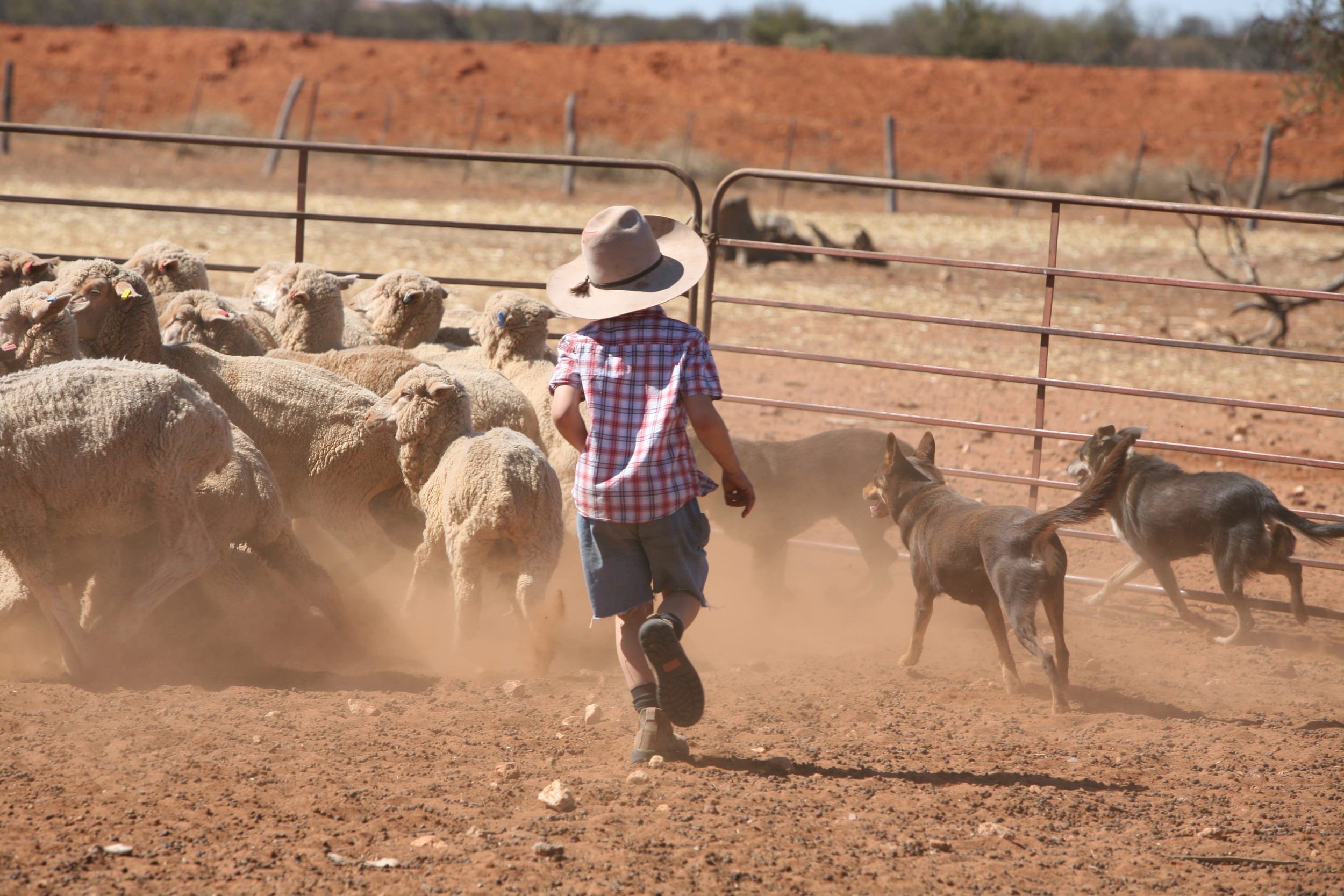 History & Heritage | Shire of Mount Magnet